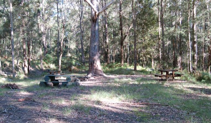 Bangalow Campground - Watagans National Park (FC) - Full Range Camping ...