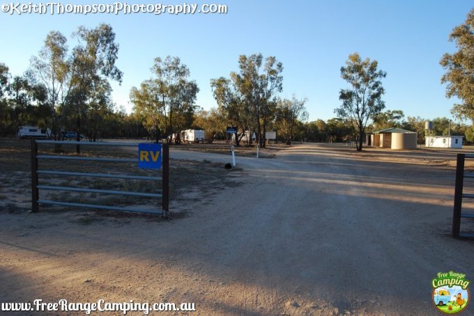 Collarenebri Primitive Campground (FC) - Full Range Camping Directory
