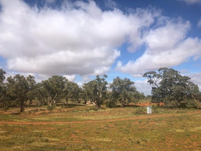 Coonatto Station (CG) - Full Range Camping Directory