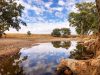 Coonatto Station (CG) - Full Range Camping Directory