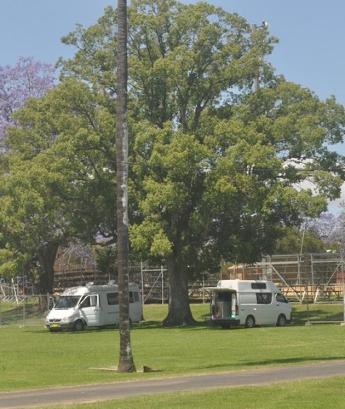 Grafton Showground (CG) - Full Range Camping Directory