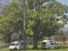 Grafton Showground (CG) - Full Range Camping Directory