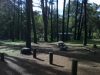 Nanga Mill Campground - Lane Poole Reserve (CG) - Full Range Camping ...