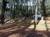 Nanga Mill Campground - Lane Poole Reserve (CG) - Full Range Camping ...