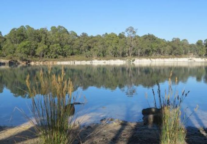 Stockton Lake Bush Camping Area (CG) - Full Range Camping Directory