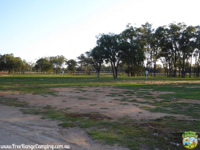 Chinchilla Showground (CG) - Full Range Camping Directory