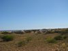 Tulki Beach Campground - Cape Range National Park (CG) - Full Range ...